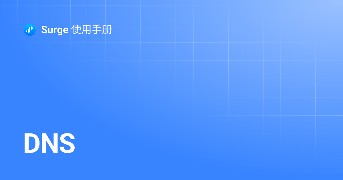 DNS | Surge 使用手册